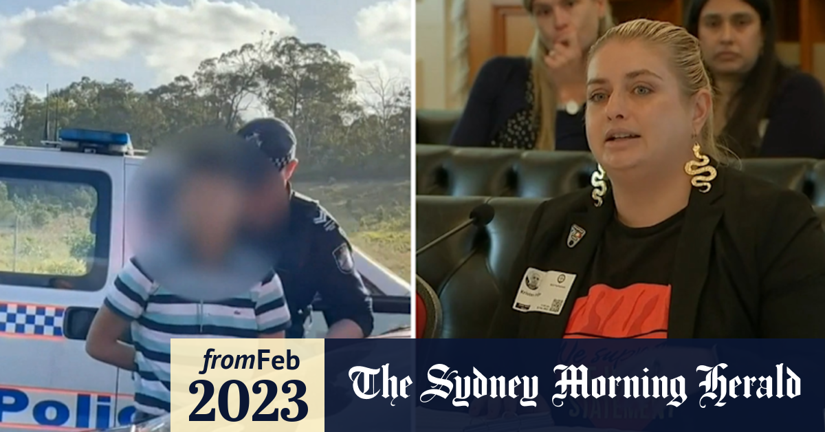 Video Queensland Youth Crime Laws Slammed